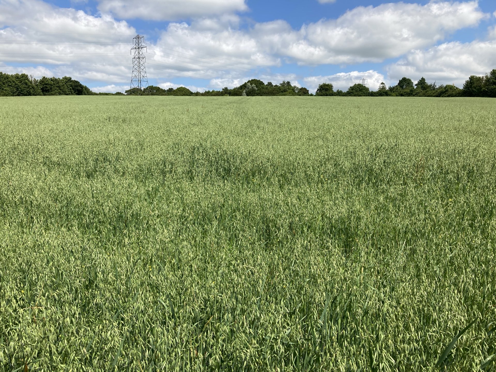Today at work | Page 6804 | The Farming Forum
