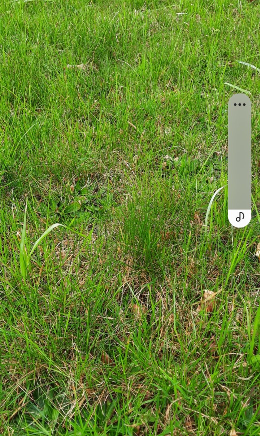 Grassland overseed | Page 3 | The Farming Forum