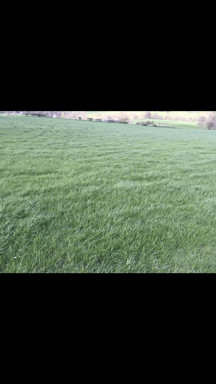 Grassland overseed | Page 4 | The Farming Forum