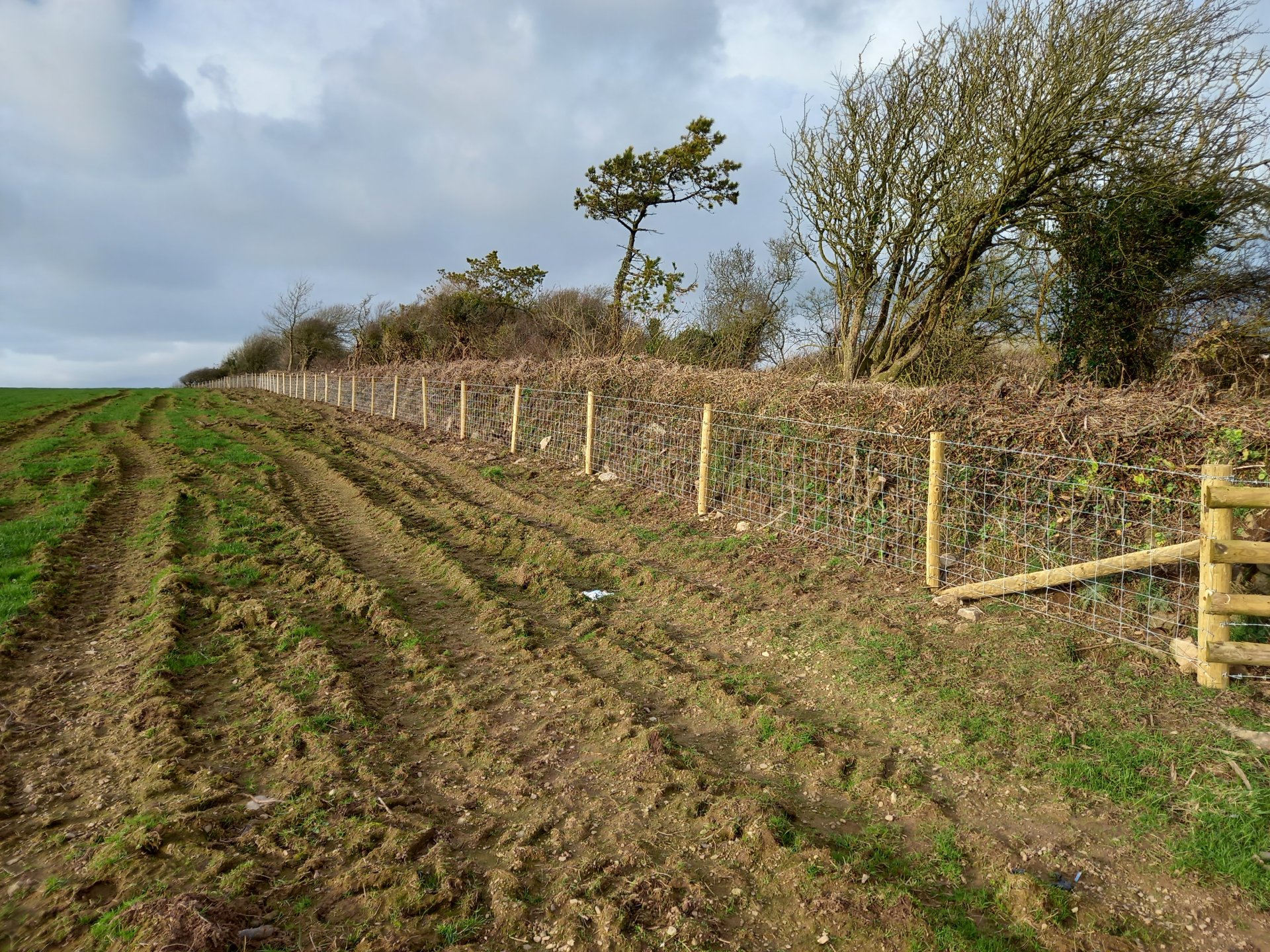 The Fencing Picture Thread | Page 95 | The Farming Forum