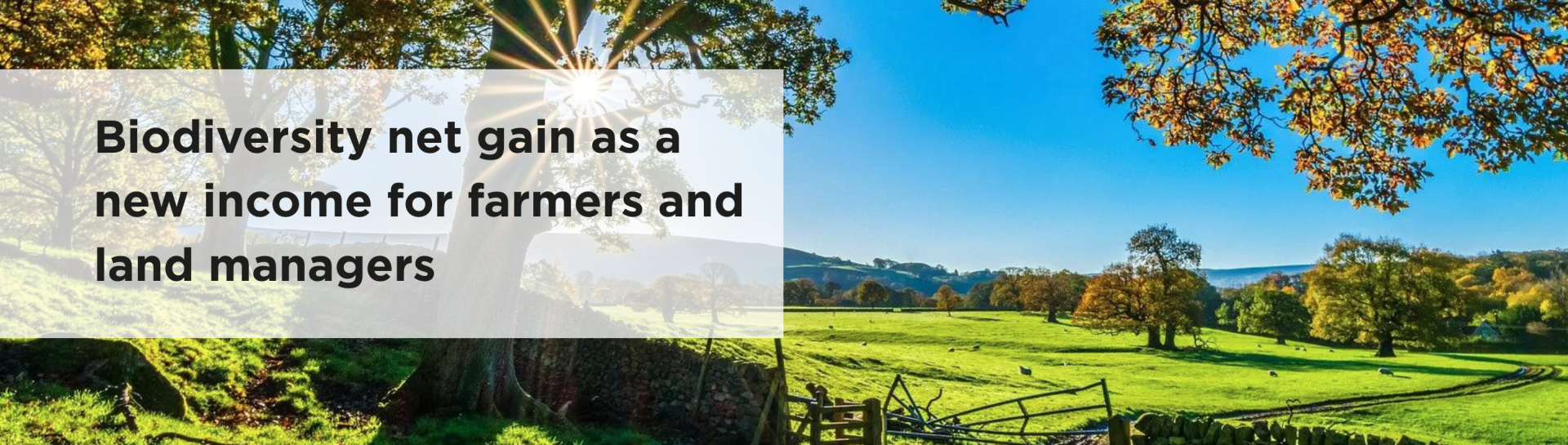 Biodiversity net gain as a new income for farmers and land managers ...