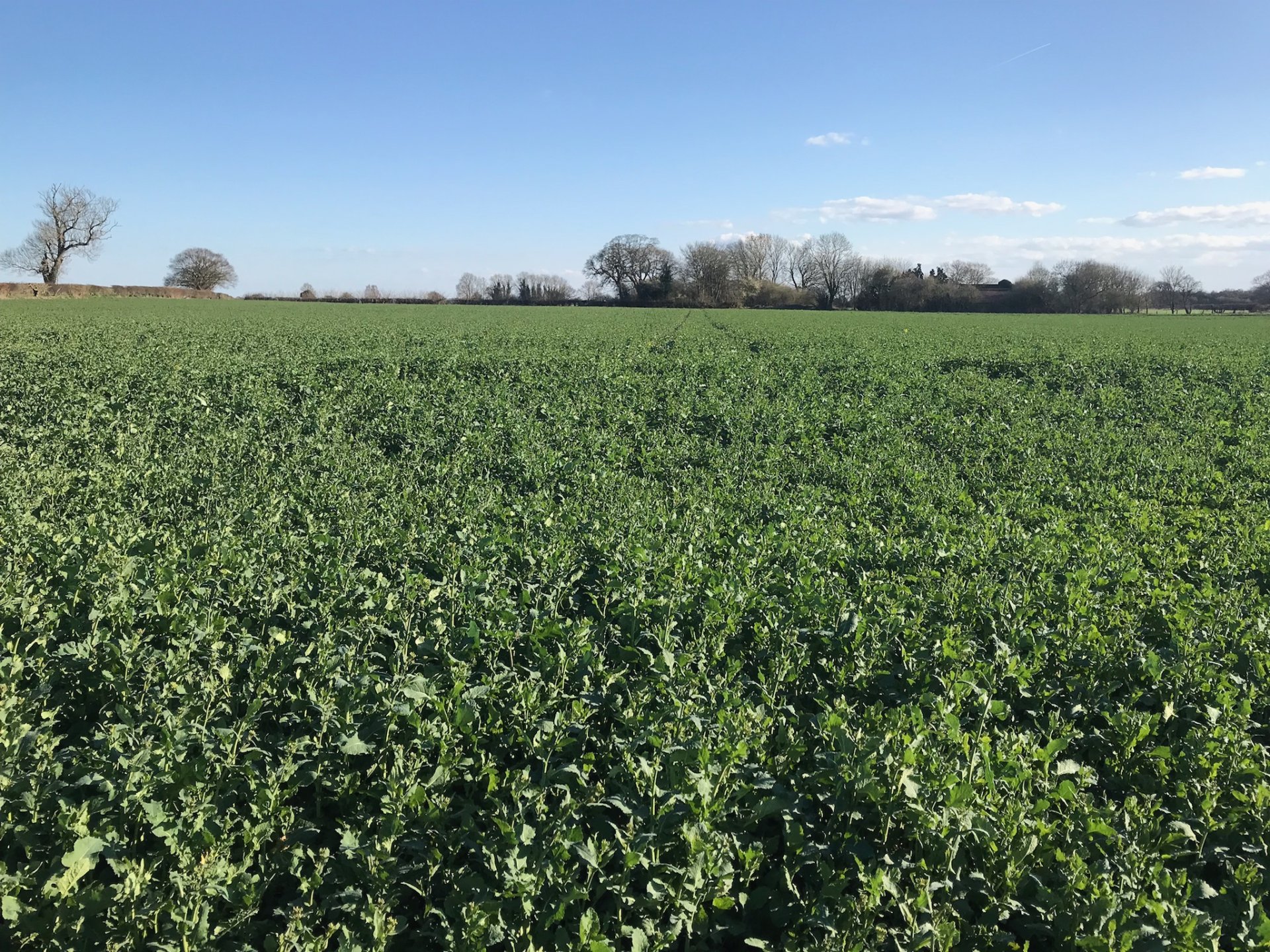 Direct/Strip-till drilling photo gallery | Page 133 | The Farming Forum