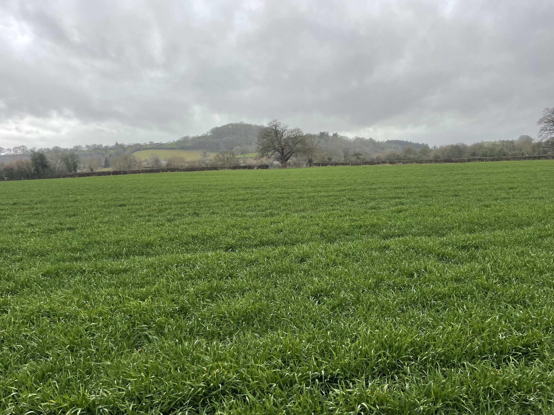 State of your crops 2023 | Page 5 | The Farming Forum