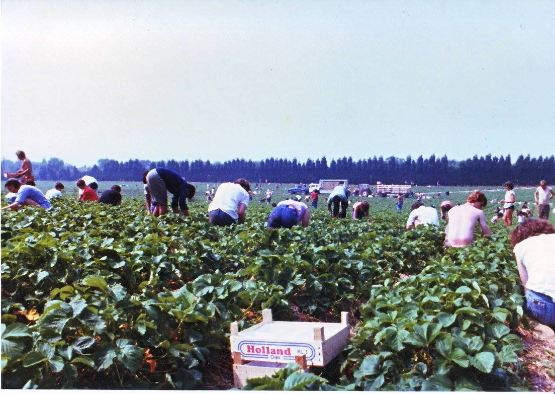 Blast from the past | The Farming Forum