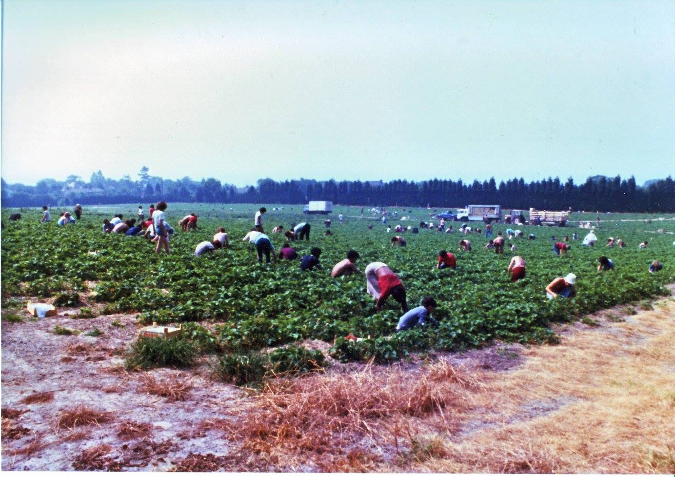 Blast from the past | The Farming Forum