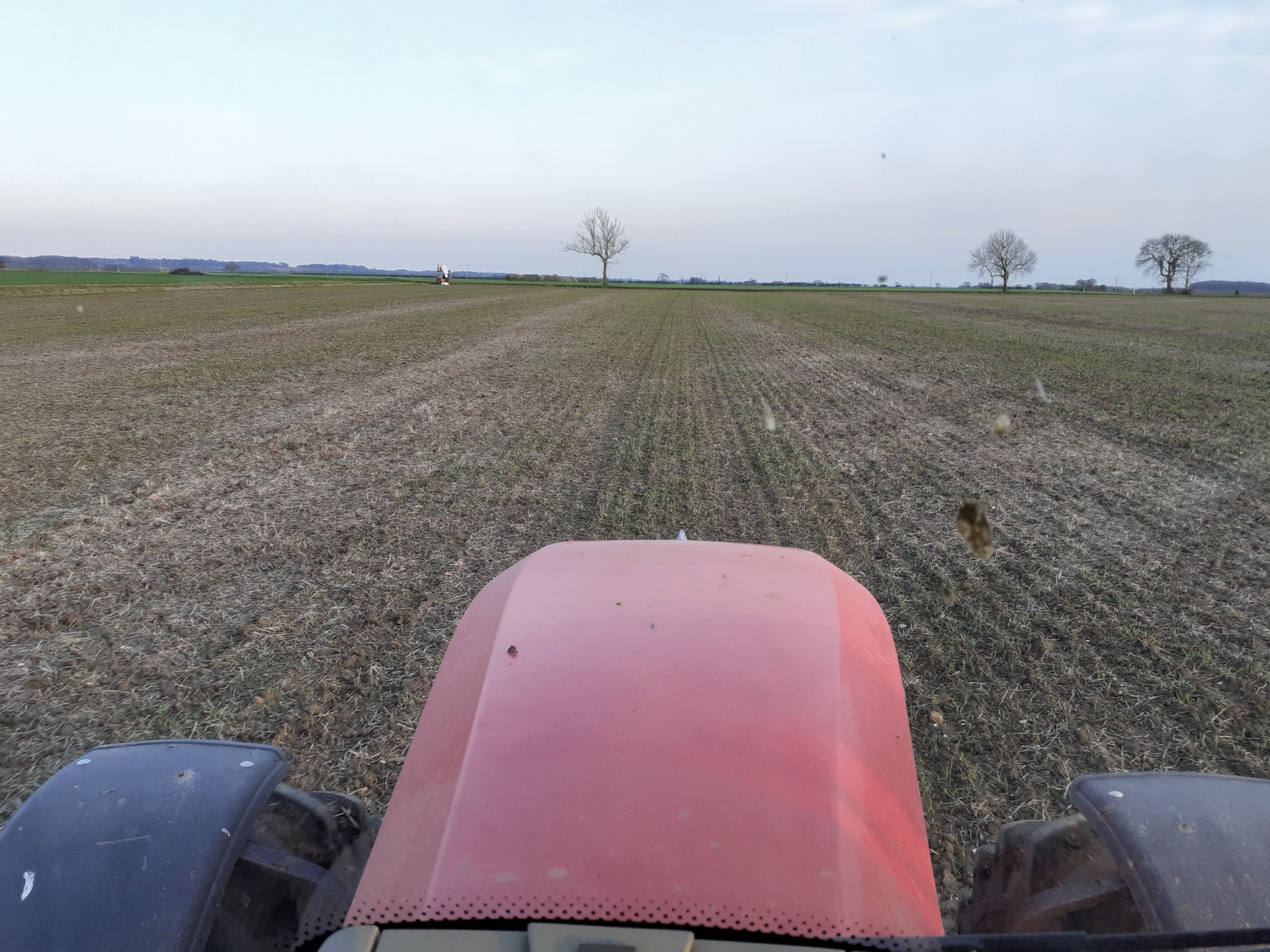 Direct/Strip-till drilling photo gallery | Page 134 | The Farming Forum