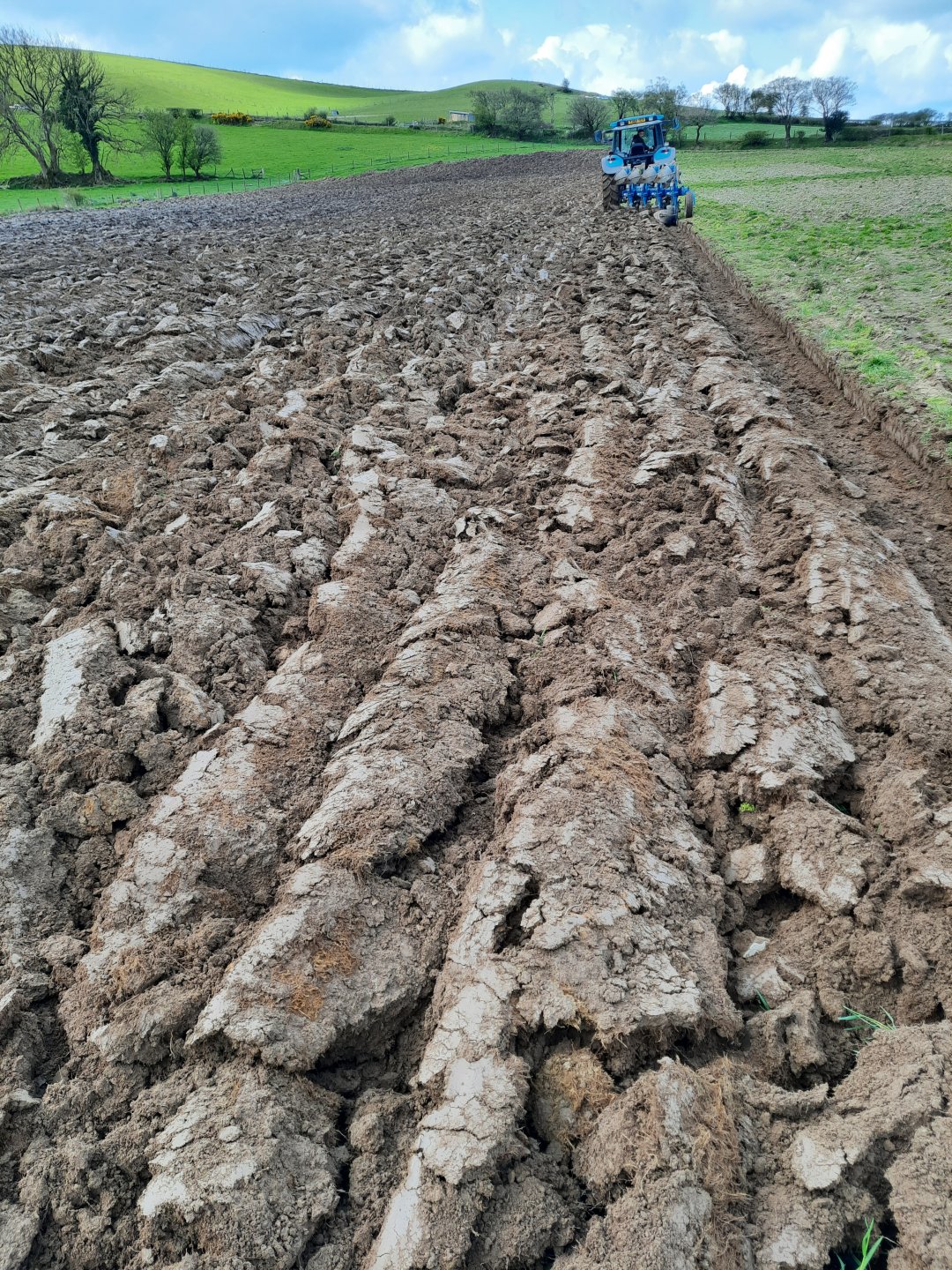 Rotovate pre-ploughing, any benefit? | Page 5 | The Farming Forum
