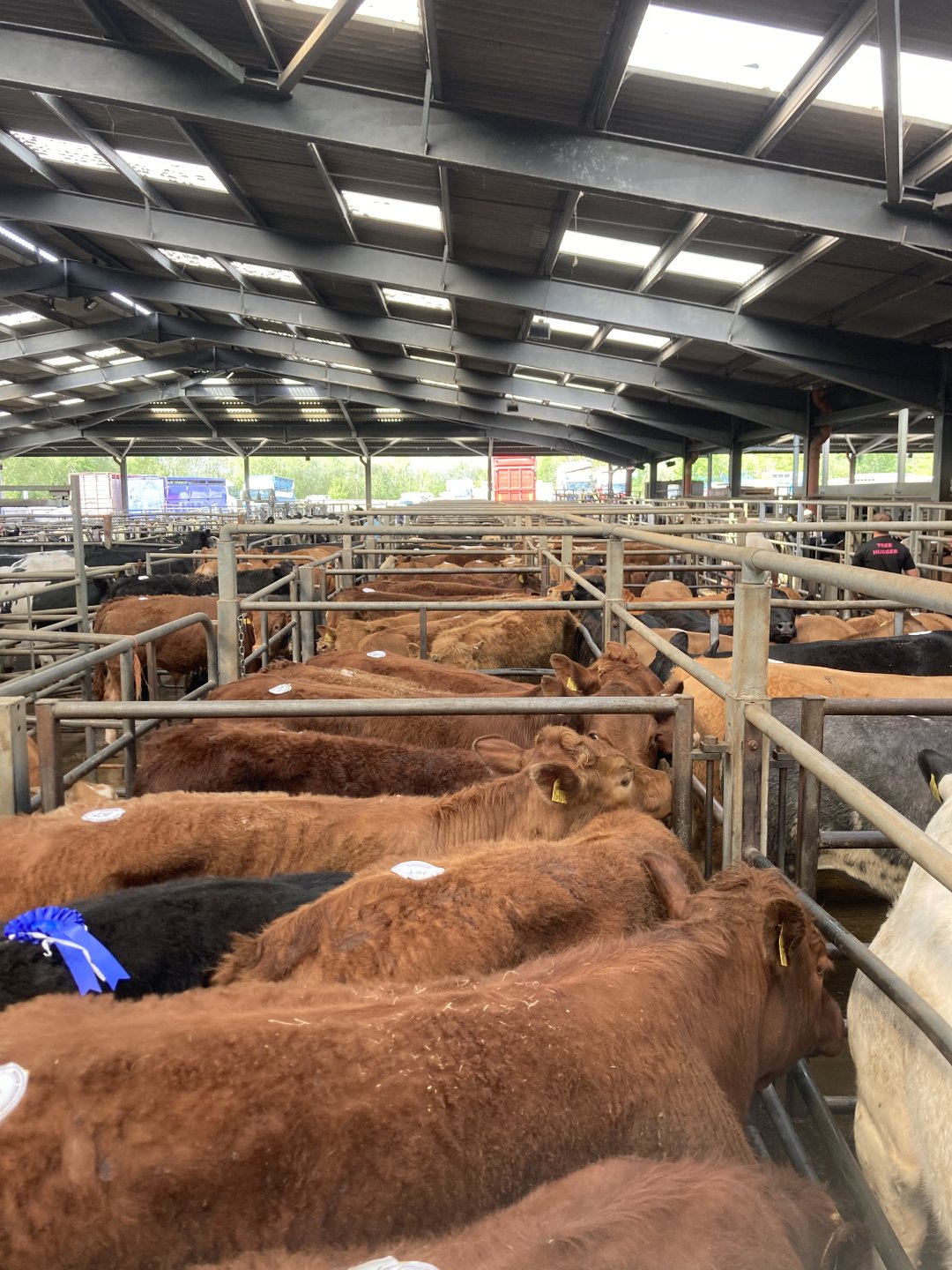 Livestock mart on tomorrow or Saturday | Page 2 | The Farming Forum