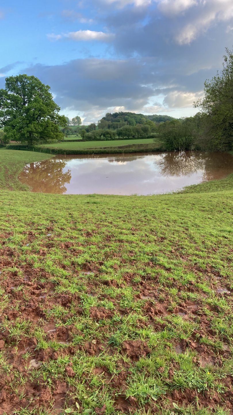 Your current weather. | Page 1077 | The Farming Forum