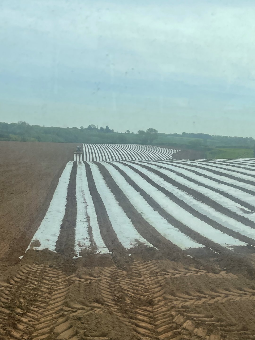 Maize 2023 | Page 10 | The Farming Forum