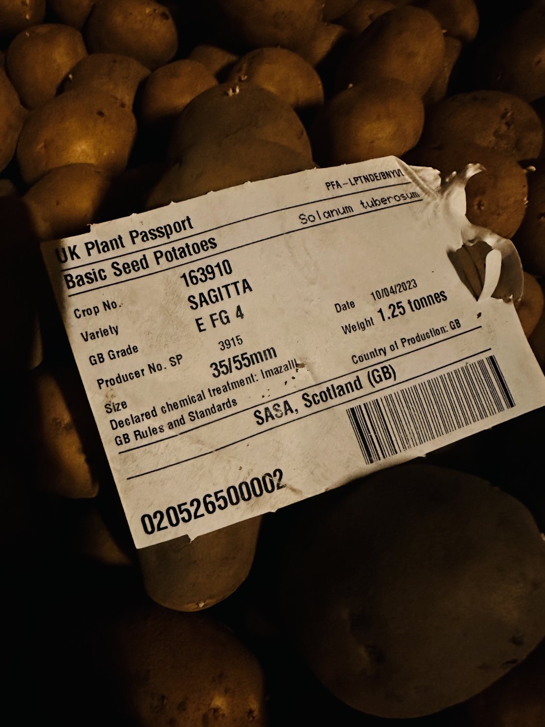 Potato Price Tracker | Page 88 | The Farming Forum