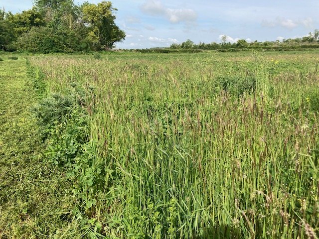 AB15 2 year legume fallow | Page 30 | The Farming Forum