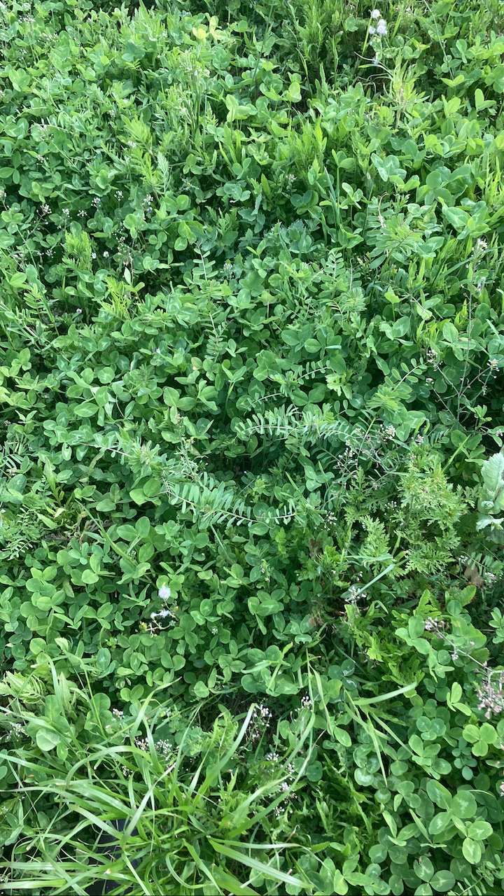 AB15 2 year legume fallow | Page 31 | The Farming Forum