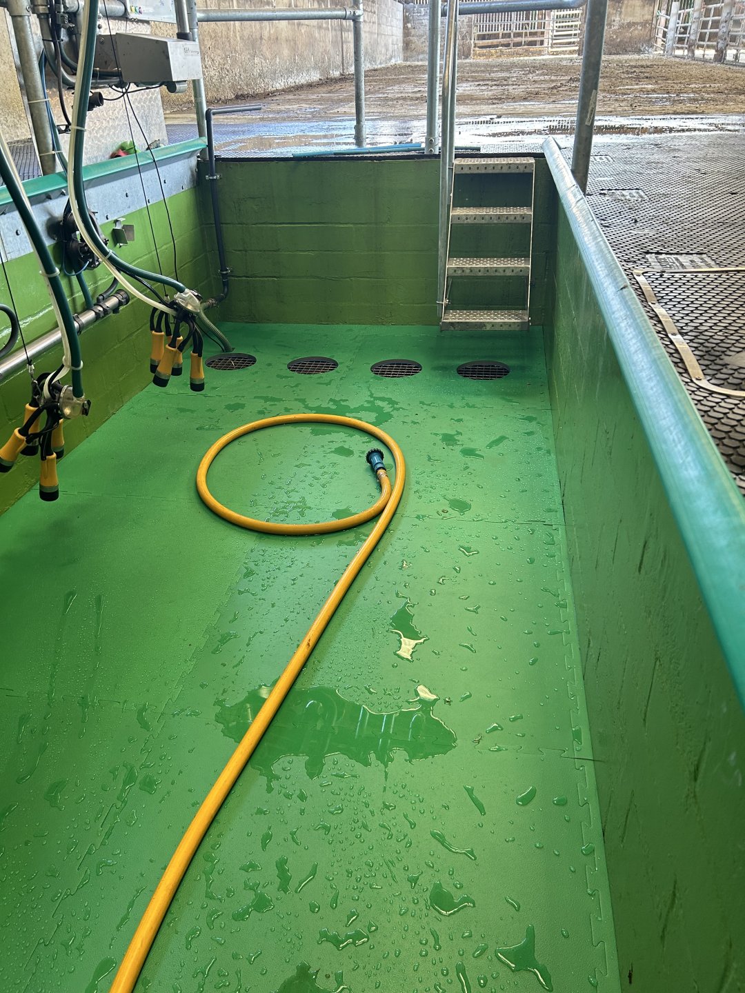 All things Dairy | Page 3033 | The Farming Forum