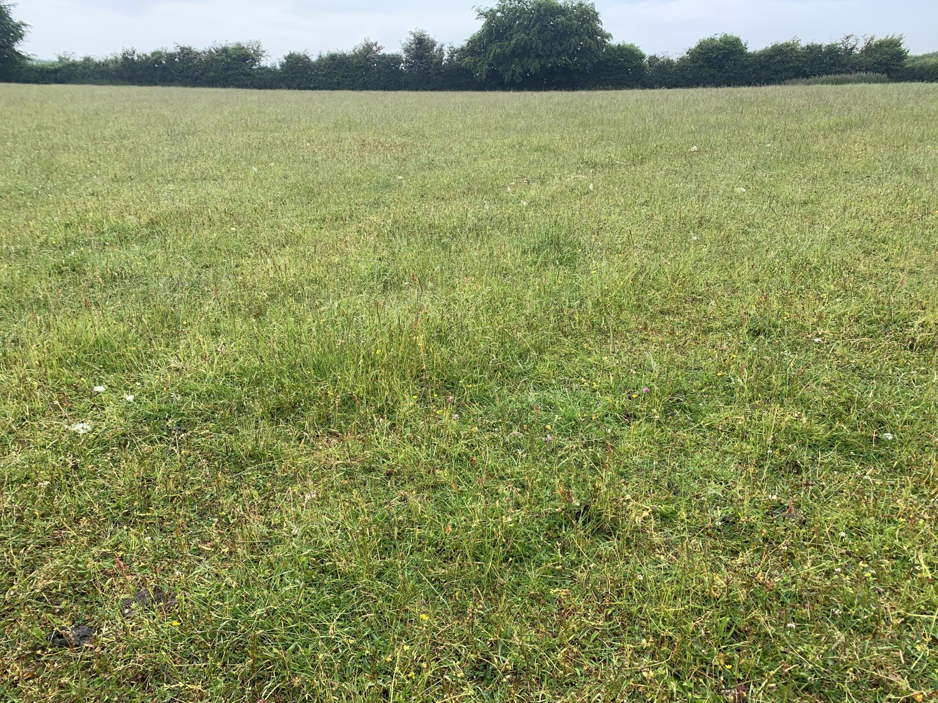 Topping before Fertiliser? | The Farming Forum