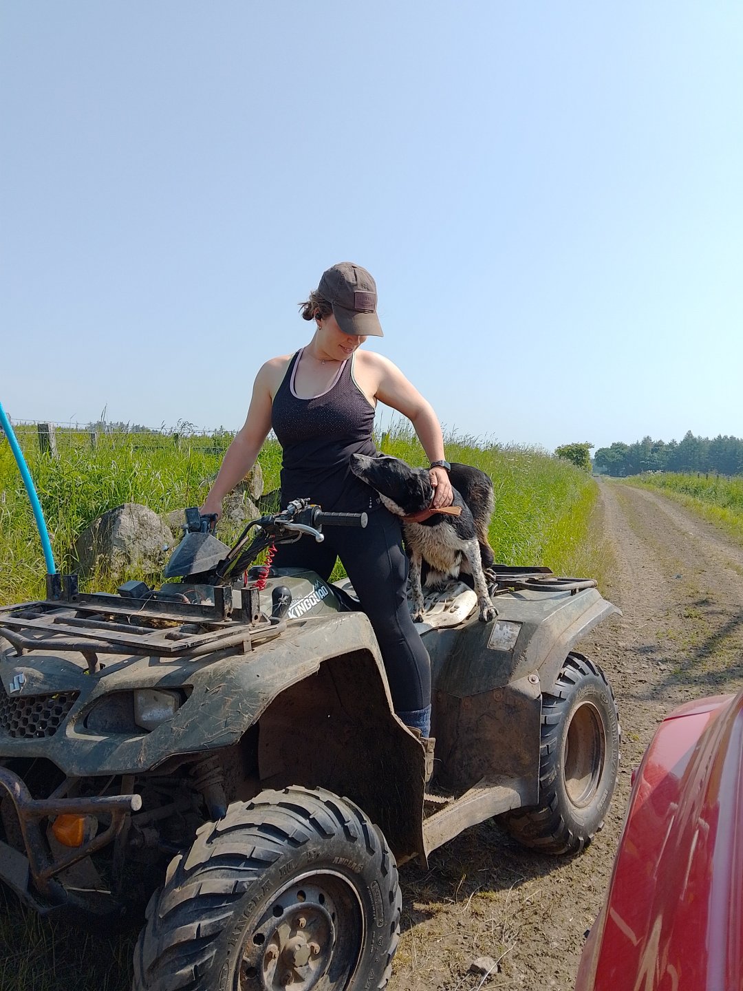 Confessions of the Sheep/Beef Cattle/Pig Addicts | Page 1718 | The ...