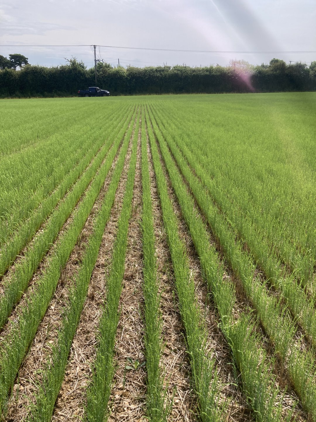 Direct/Strip-till drilling photo gallery | Page 137 | The Farming Forum