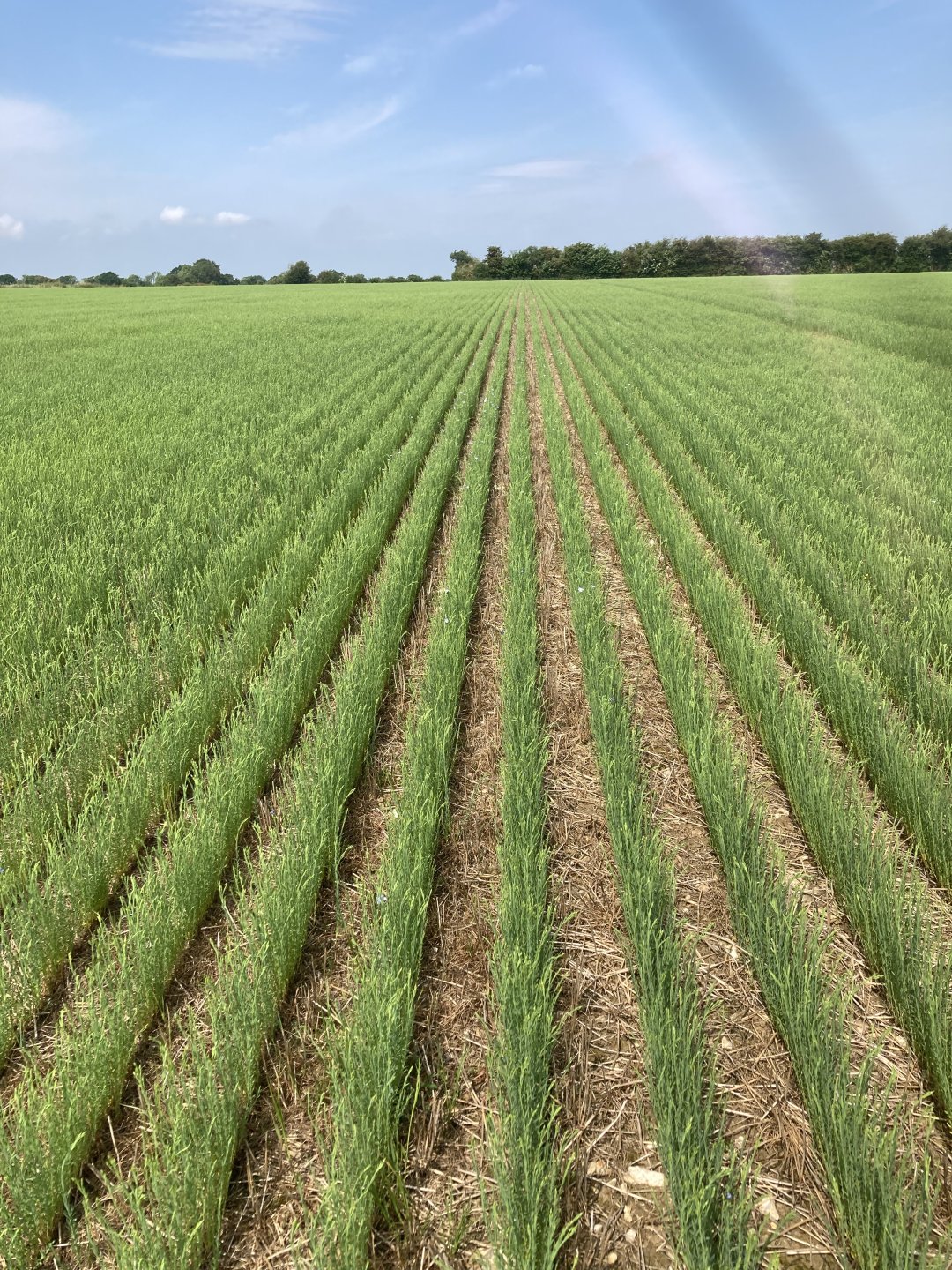 Direct/Strip-till drilling photo gallery | Page 137 | The Farming Forum