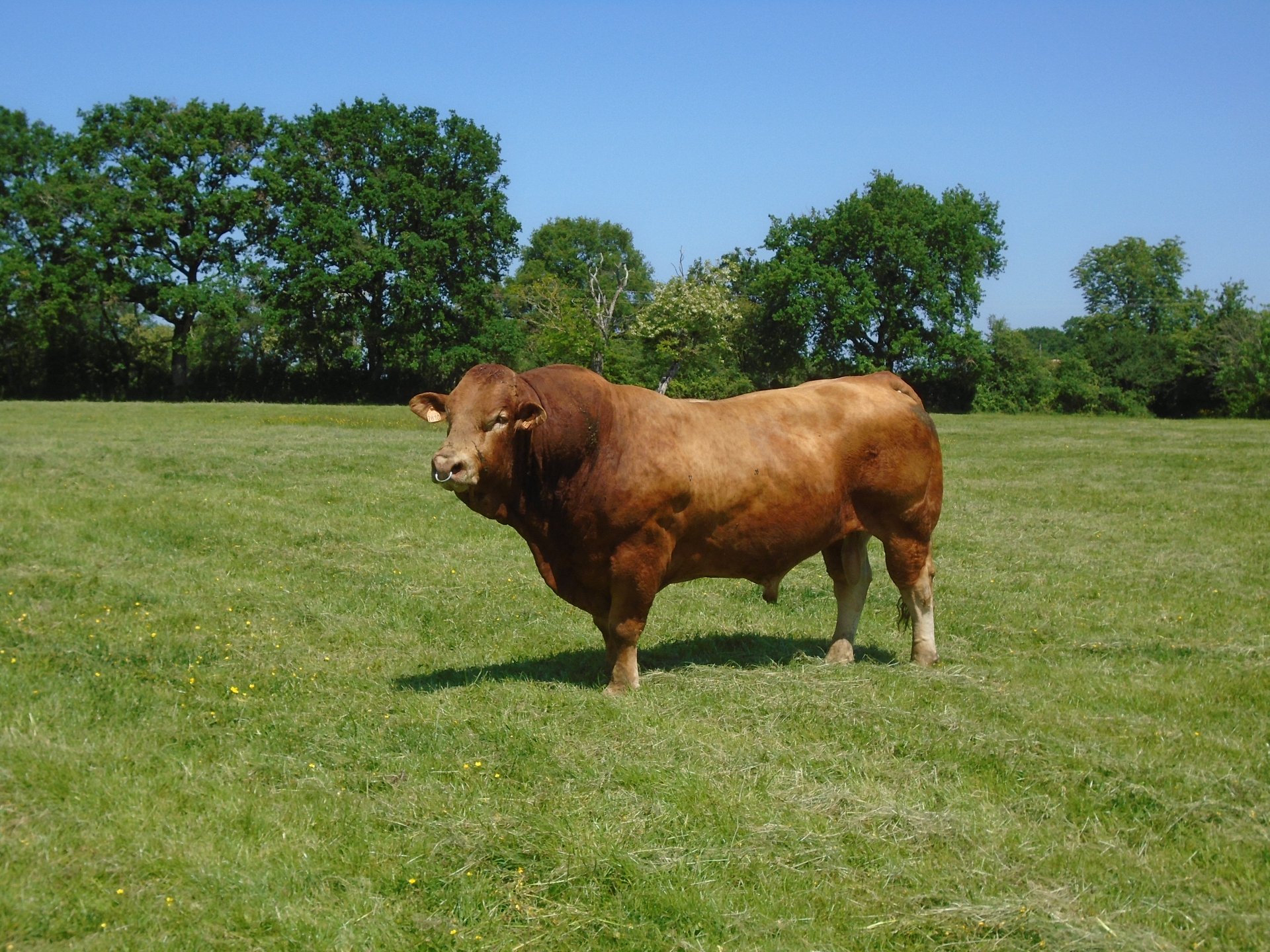 Pictures From France | Page 86 | The Farming Forum