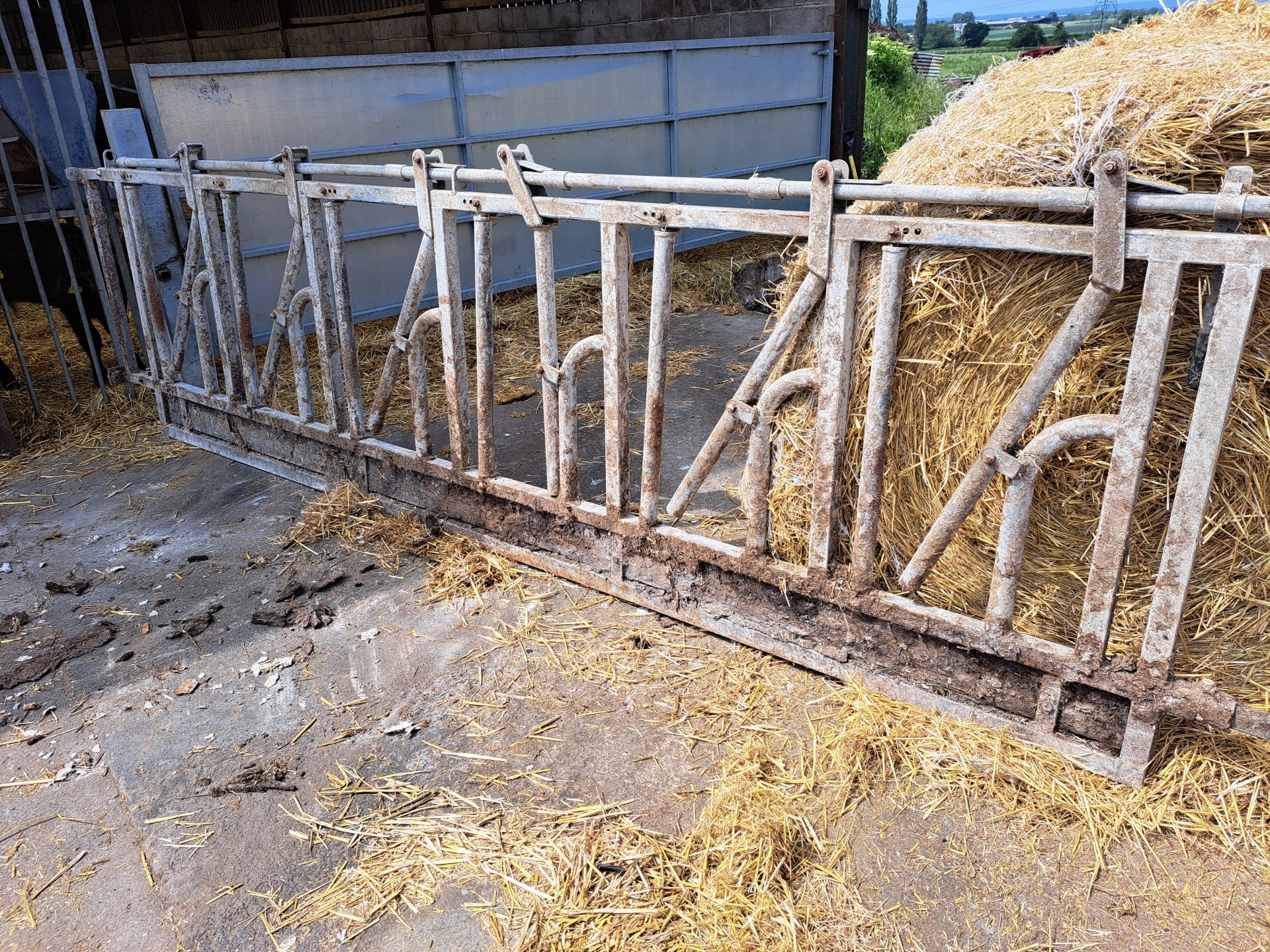 Locking head yolk barriers | The Farming Forum