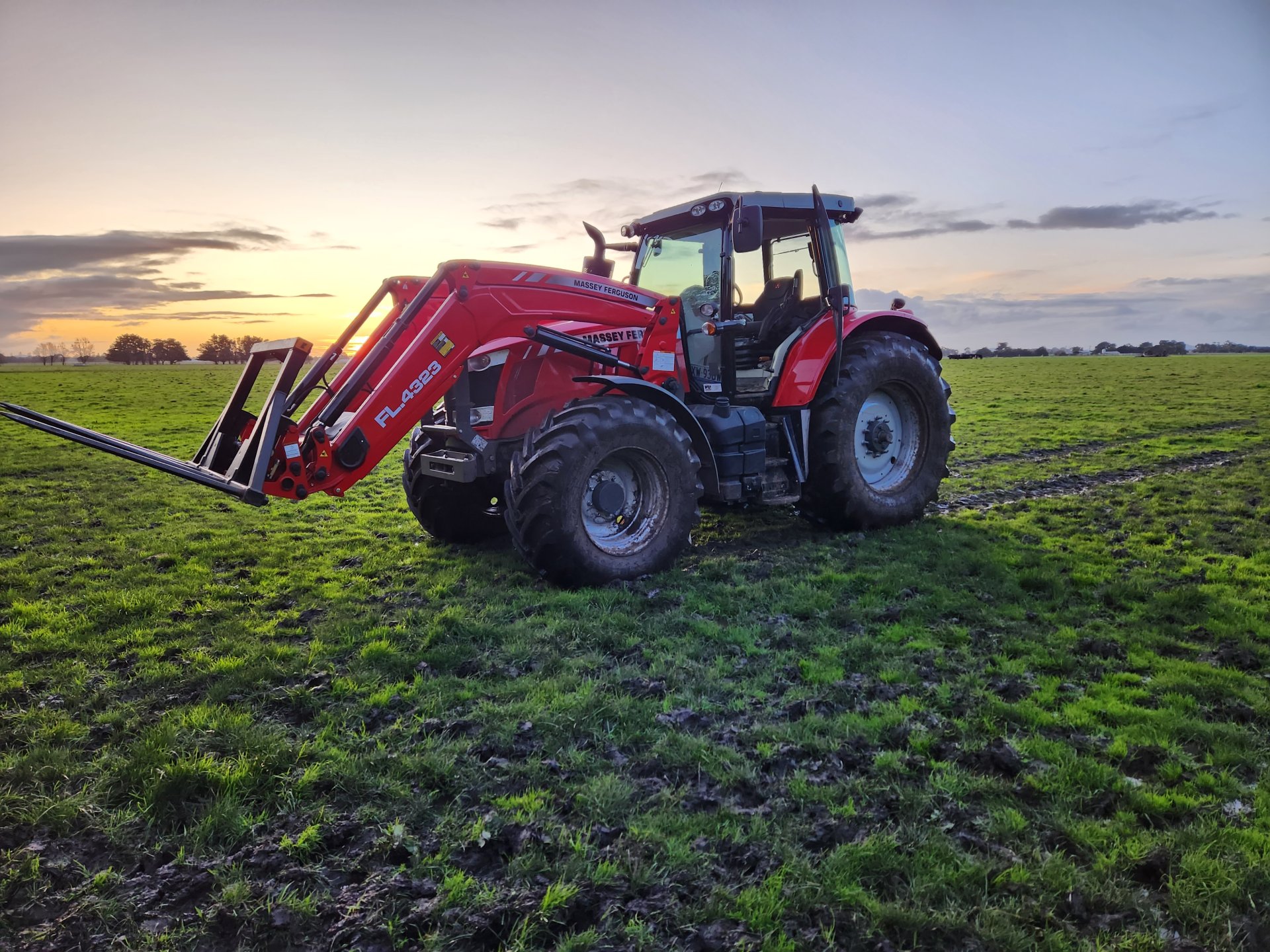 Best shelter for cattle in paddock? | Page 3 | The Farming Forum