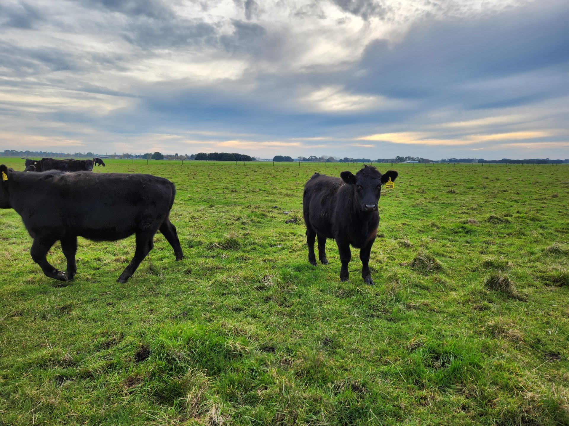 New farm, the journey begins! | Page 28 | The Farming Forum