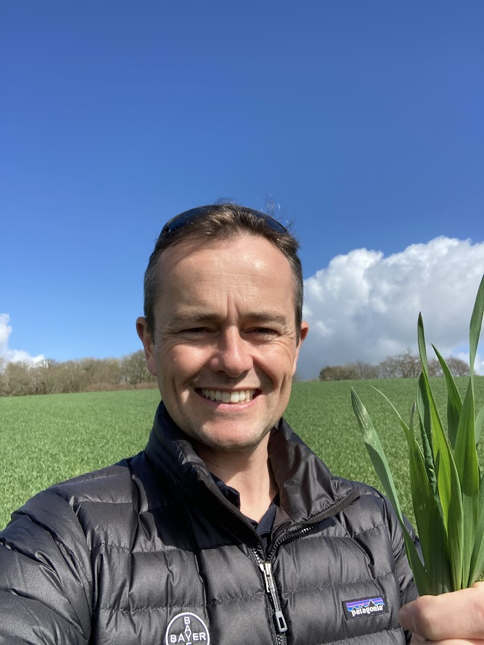 Keep revised WRAG guidelines in mind when managing stubbles ahead of ...