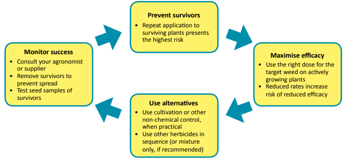 Keep revised WRAG guidelines in mind when managing stubbles ahead of ...