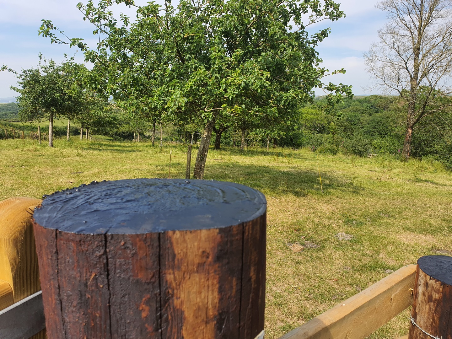 FG12 wooden gate specification | Page 6 | The Farming Forum