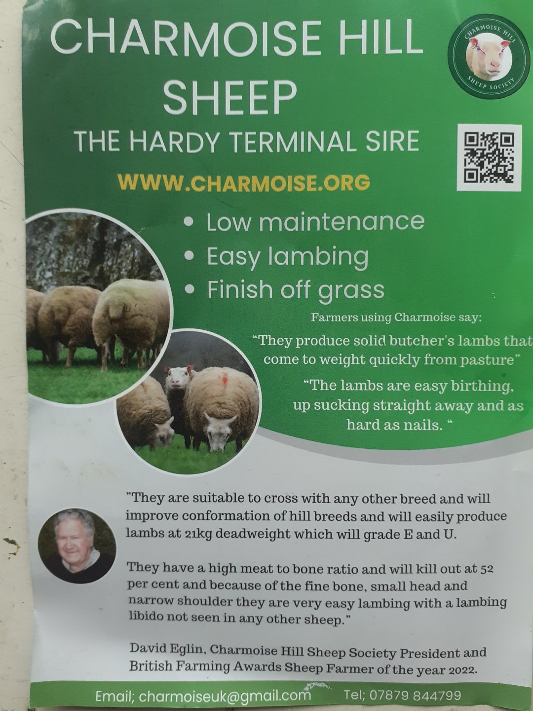 Ram for First Timer Ewes | The Farming Forum