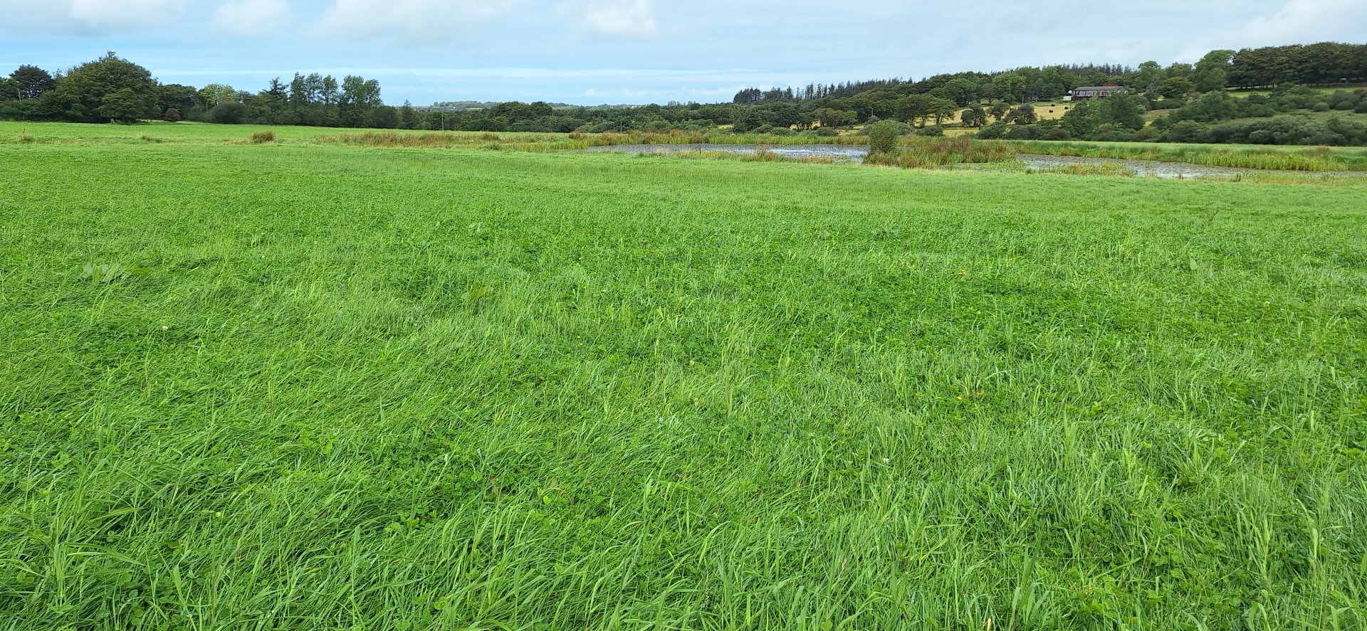 grass variety and type of sowing | Page 2 | The Farming Forum