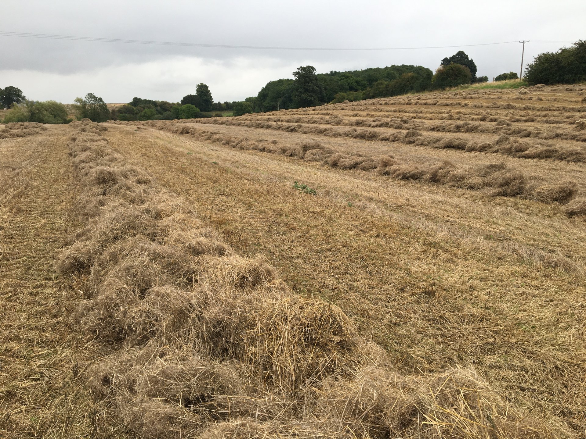 Today at work | Page 7076 | The Farming Forum