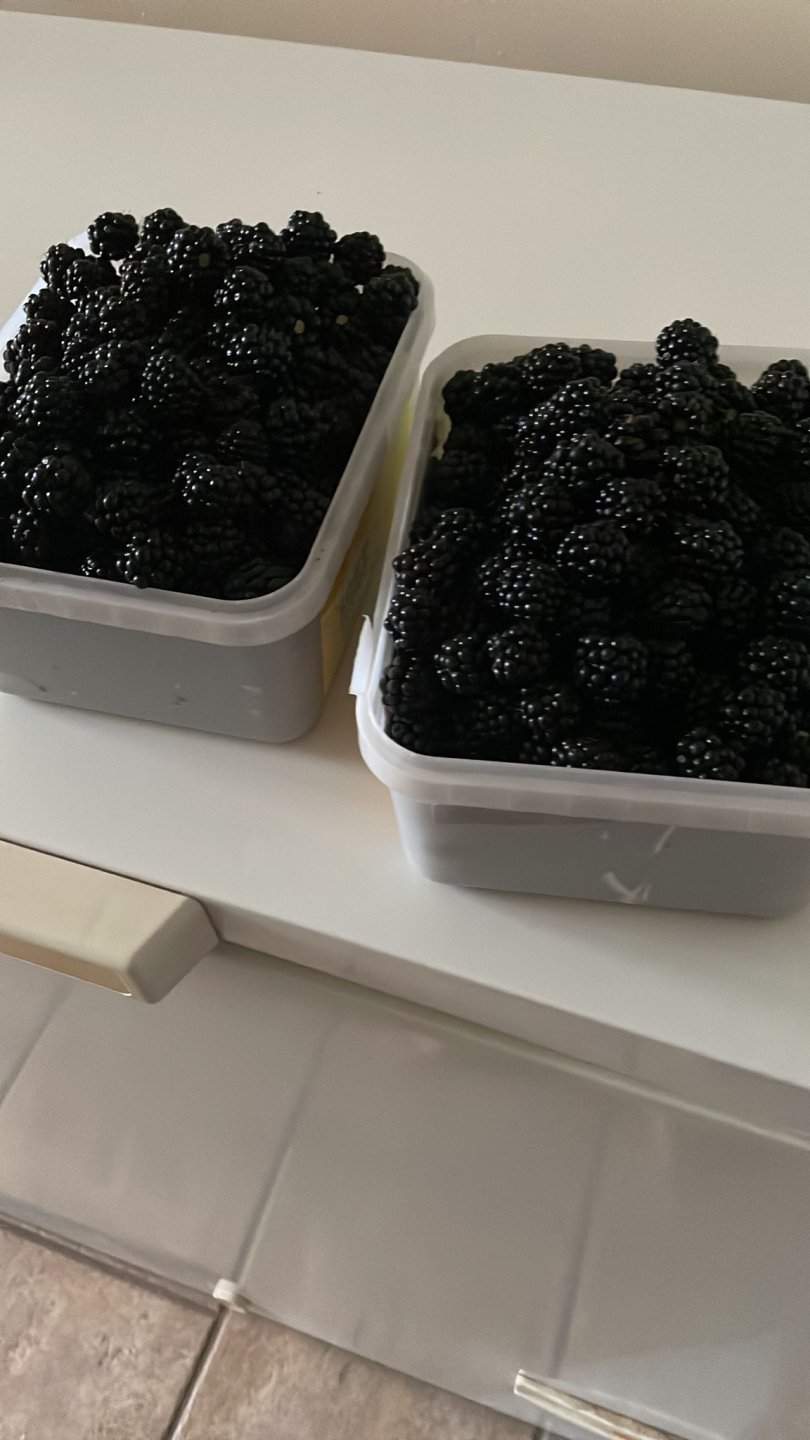 Today at work | Page 7085 | The Farming Forum