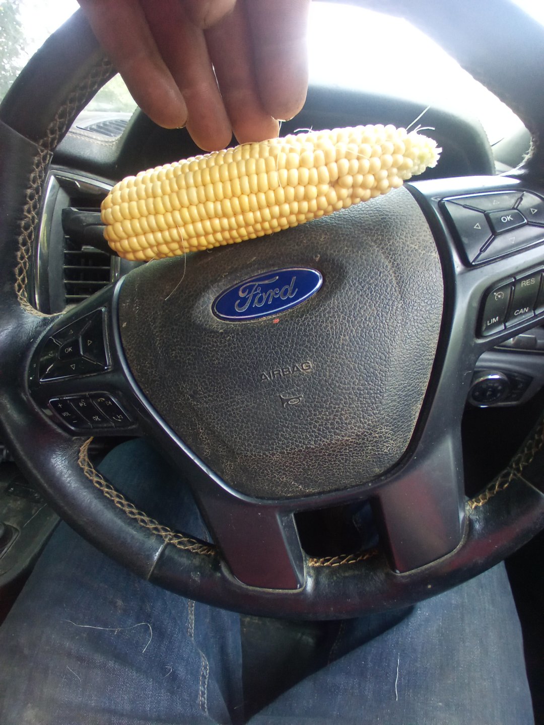 Maize 2023 | Page 36 | The Farming Forum