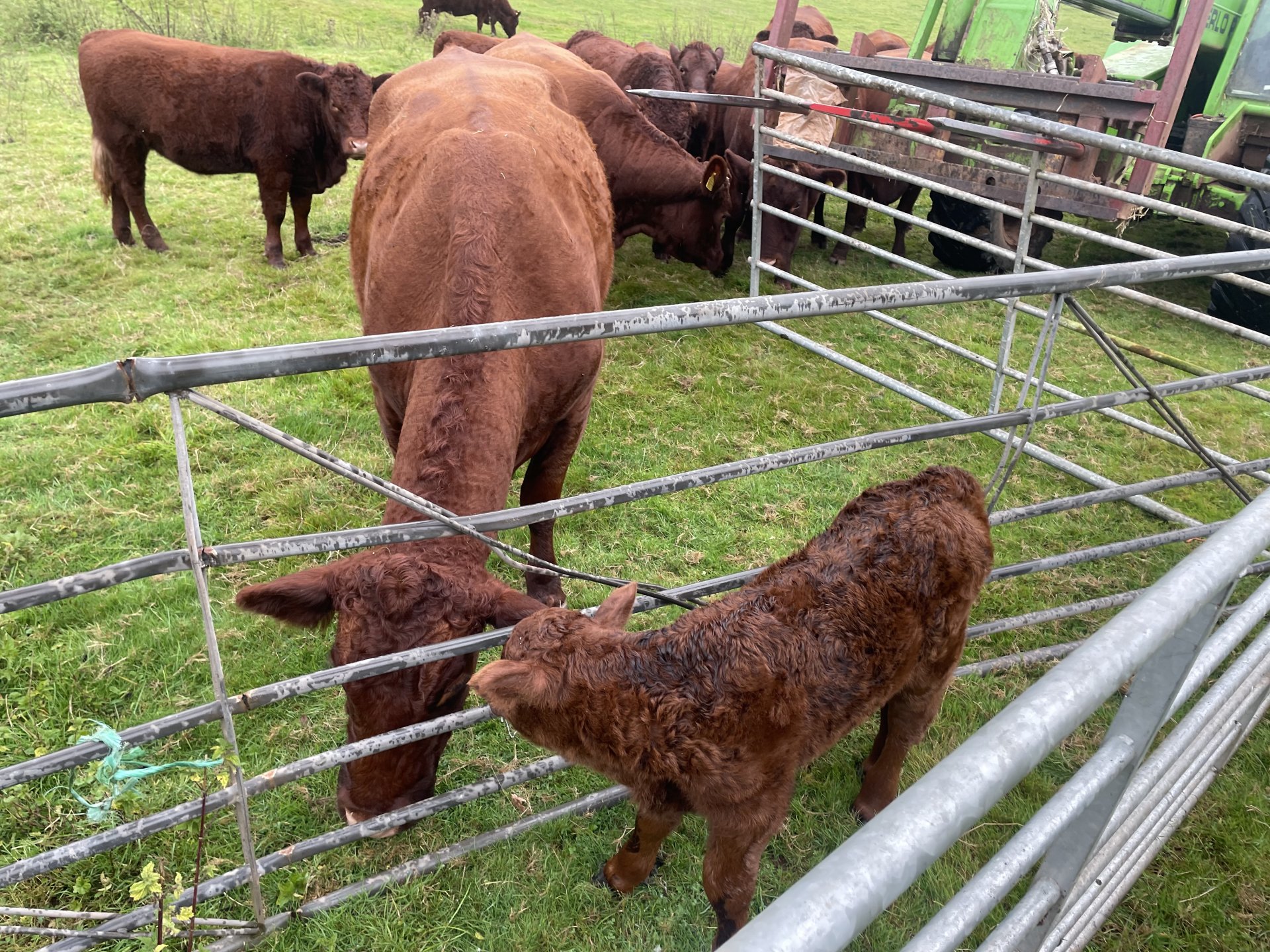 Today at work | Page 7107 | The Farming Forum
