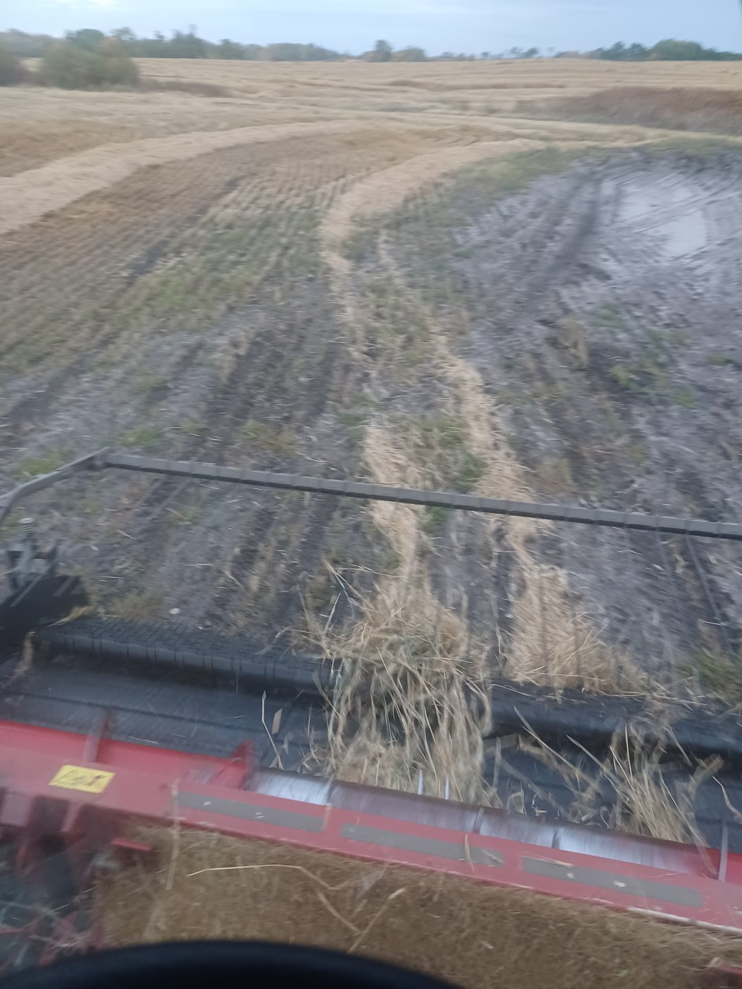 Today at work | Page 7113 | The Farming Forum