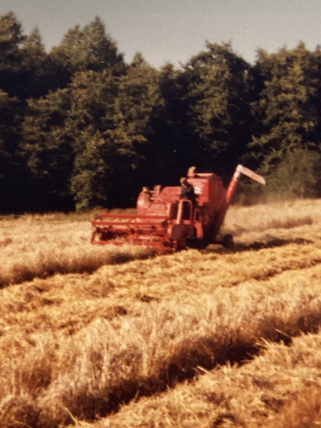 Ransomes 902 combine | Page 2 | The Farming Forum
