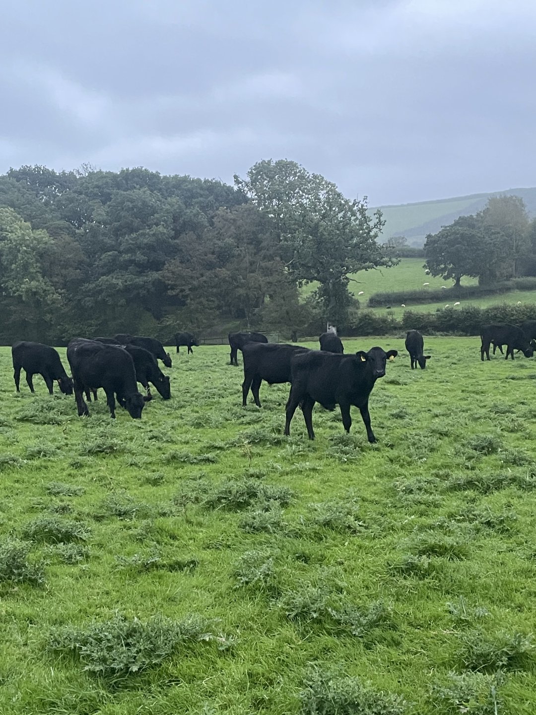 Today at work | Page 7117 | The Farming Forum