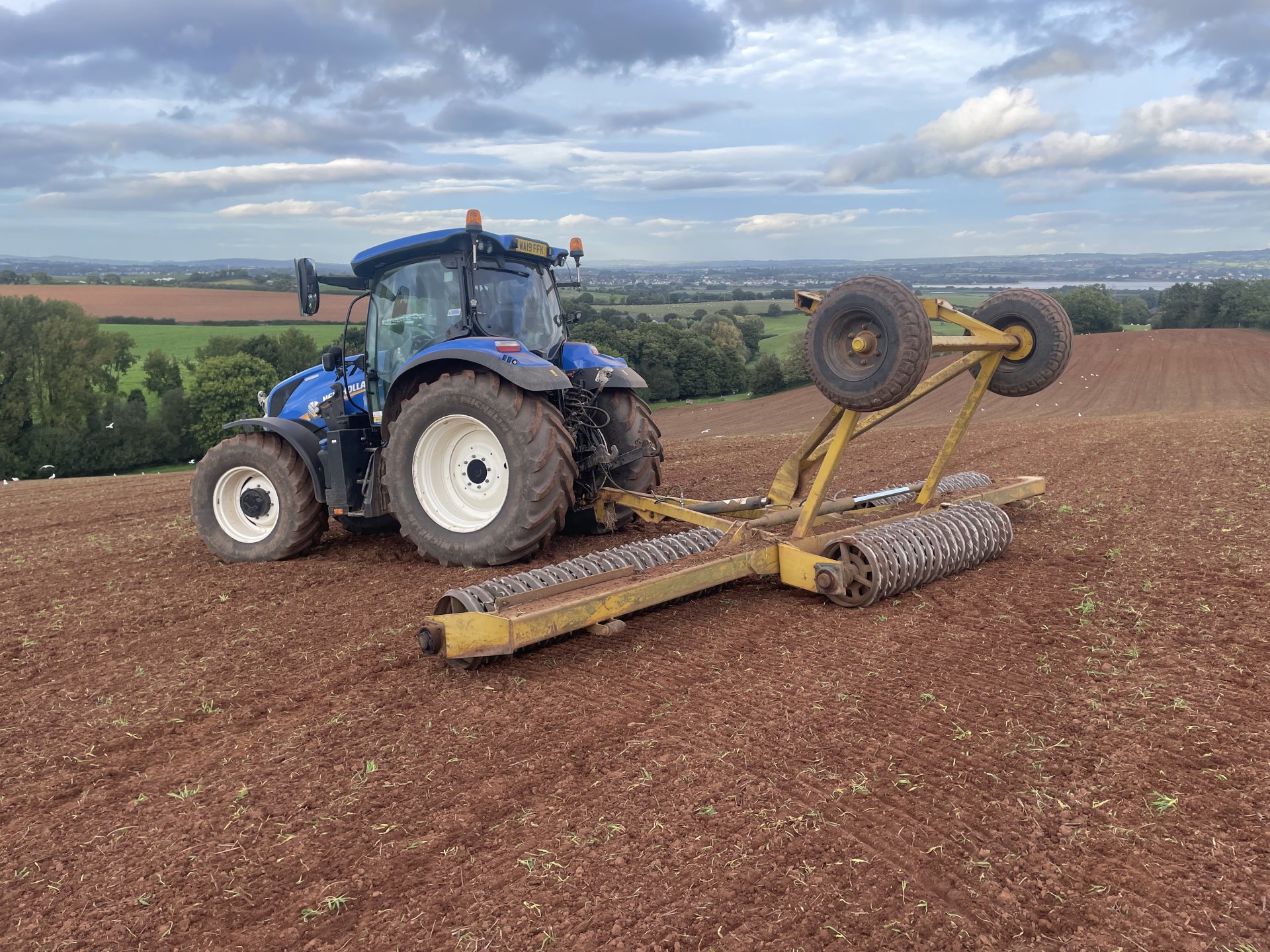 Clover rate | The Farming Forum