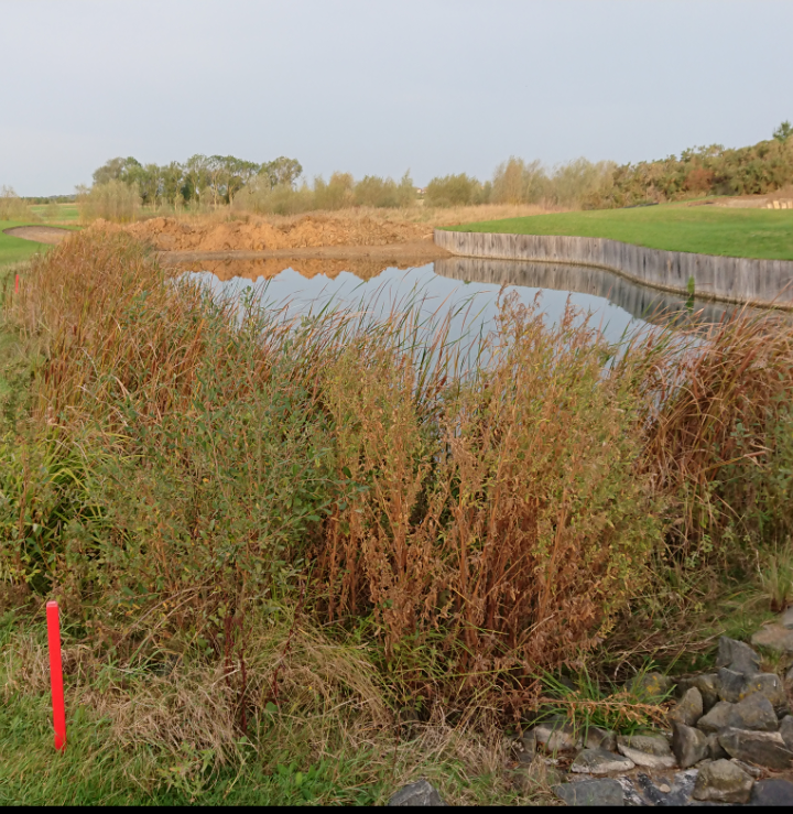 Neighbour blocking watercourse | The Farming Forum