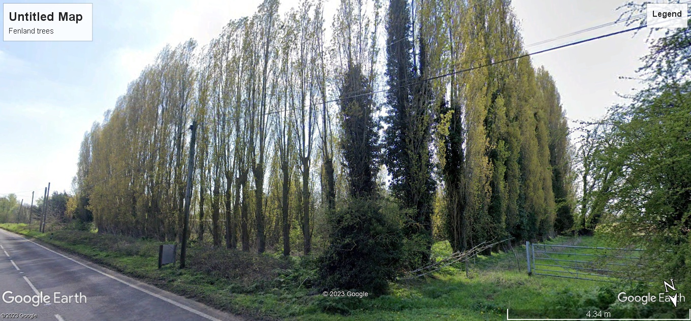 Fenland trees | Page 2 | The Farming Forum