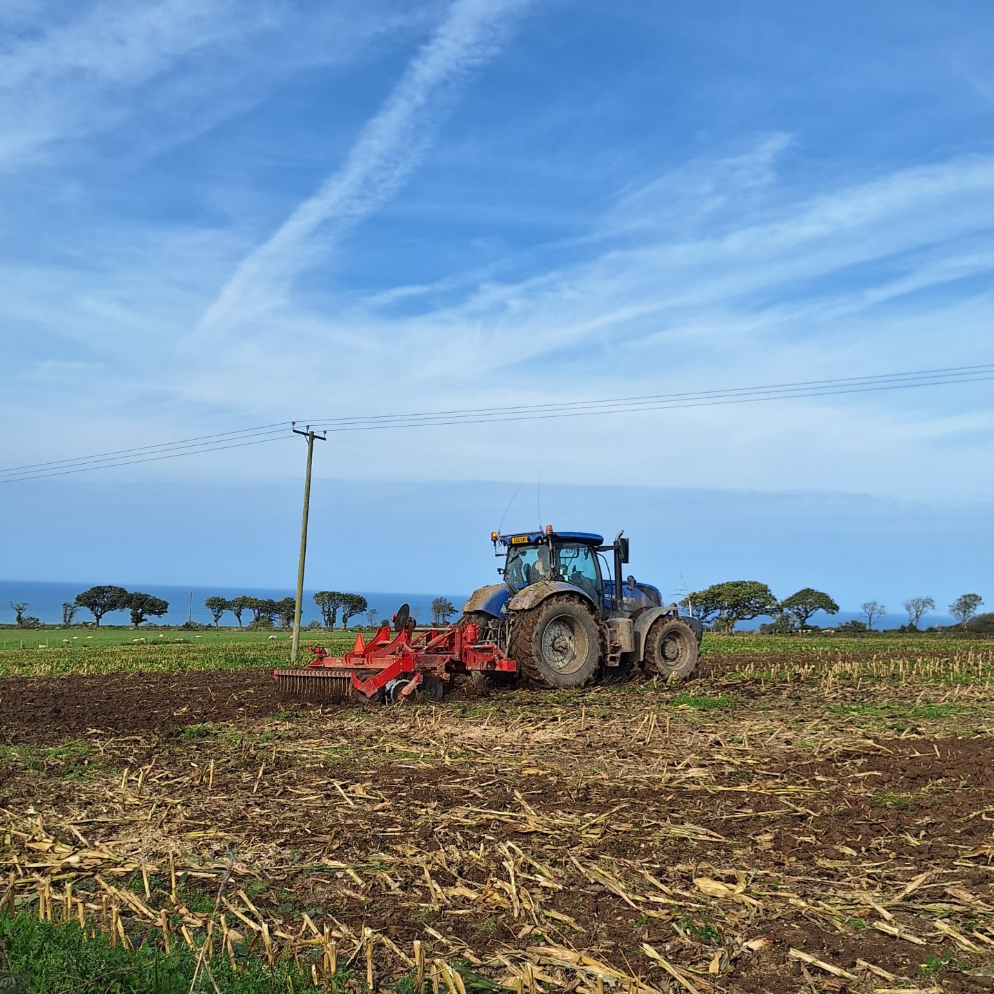 Maize 2023 | Page 50 | The Farming Forum