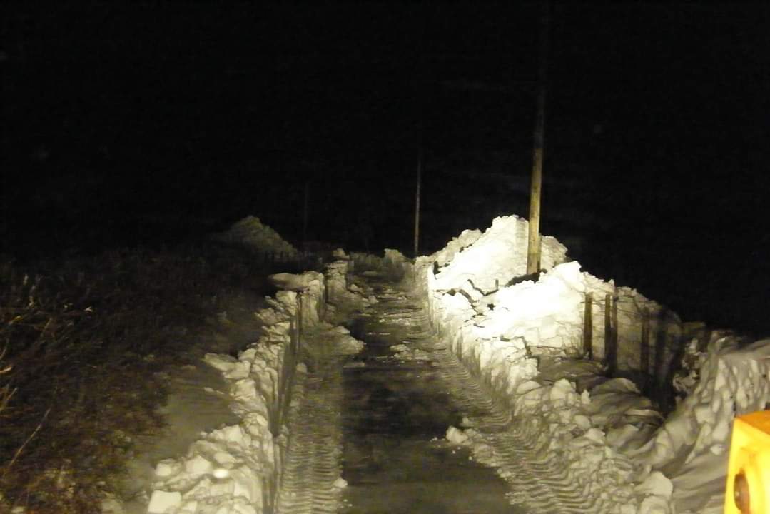 Milk bowser | Page 2 | The Farming Forum