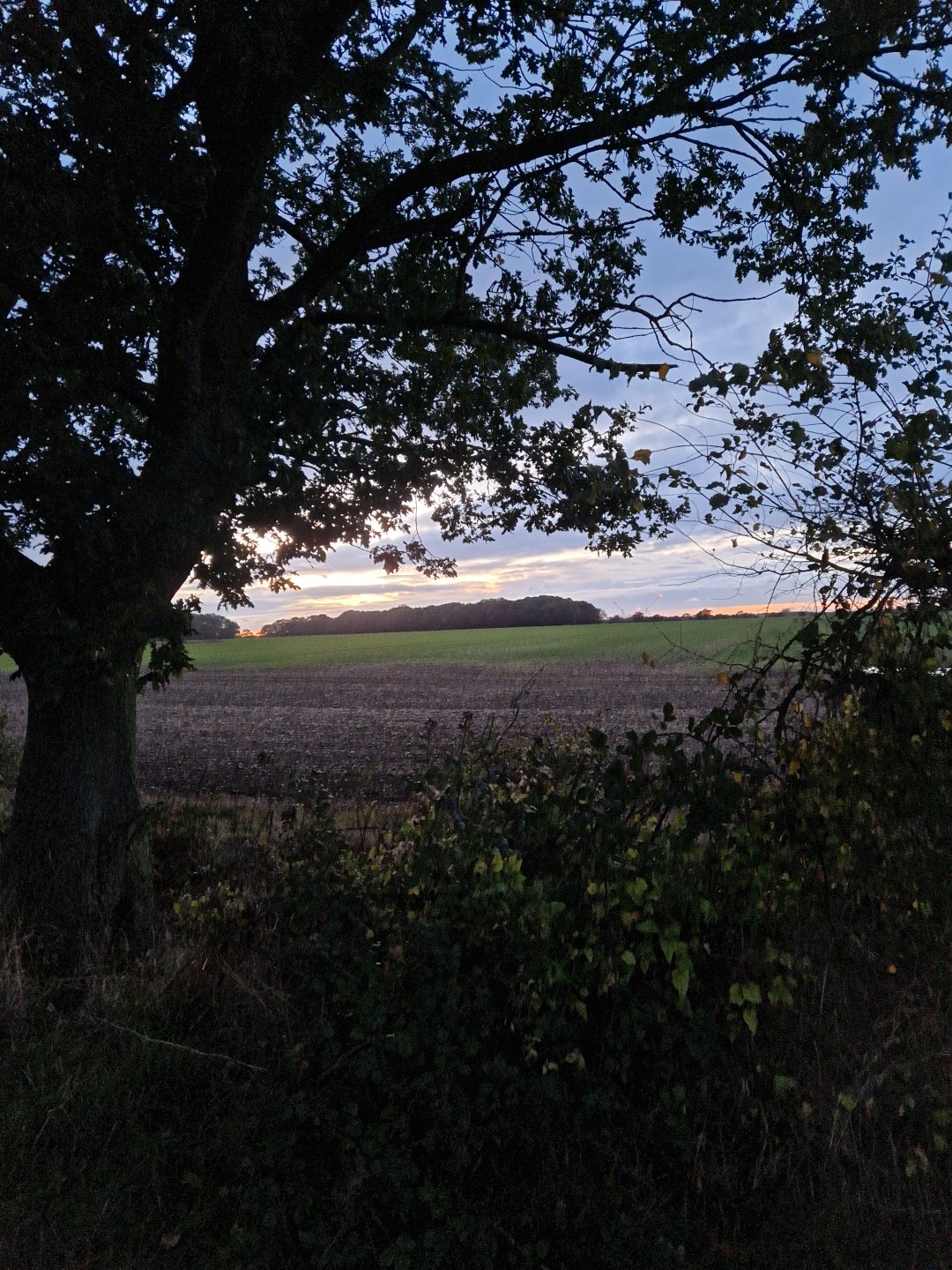 Yesterday evening | The Farming Forum