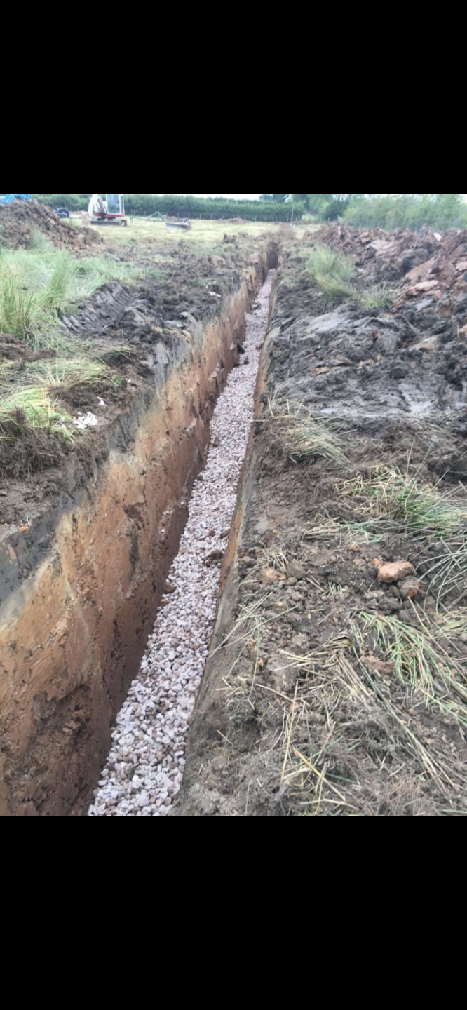 heavy rushes - plan of attack | Page 2 | The Farming Forum