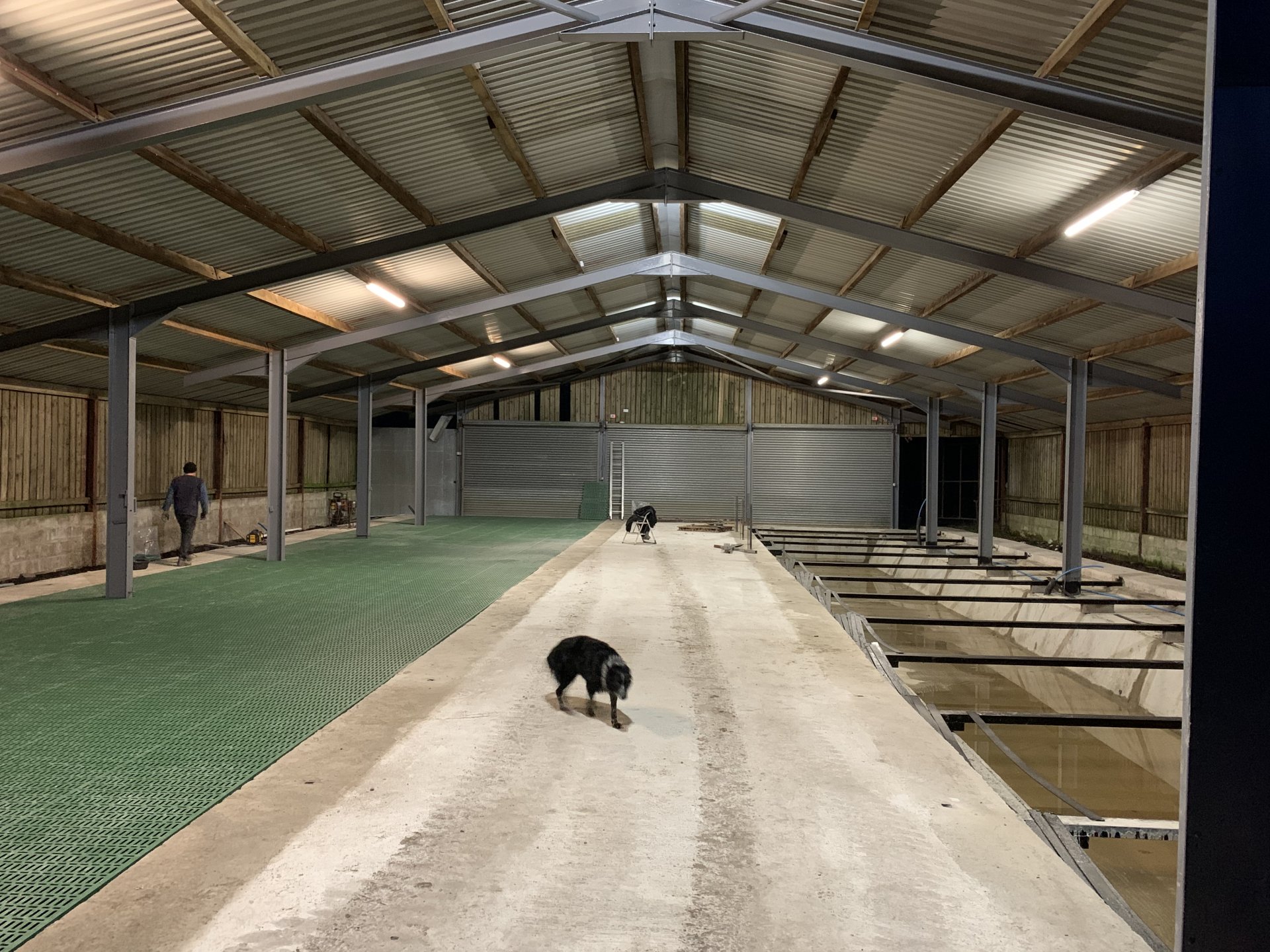 Sheep slatted shed design | Page 2 | The Farming Forum