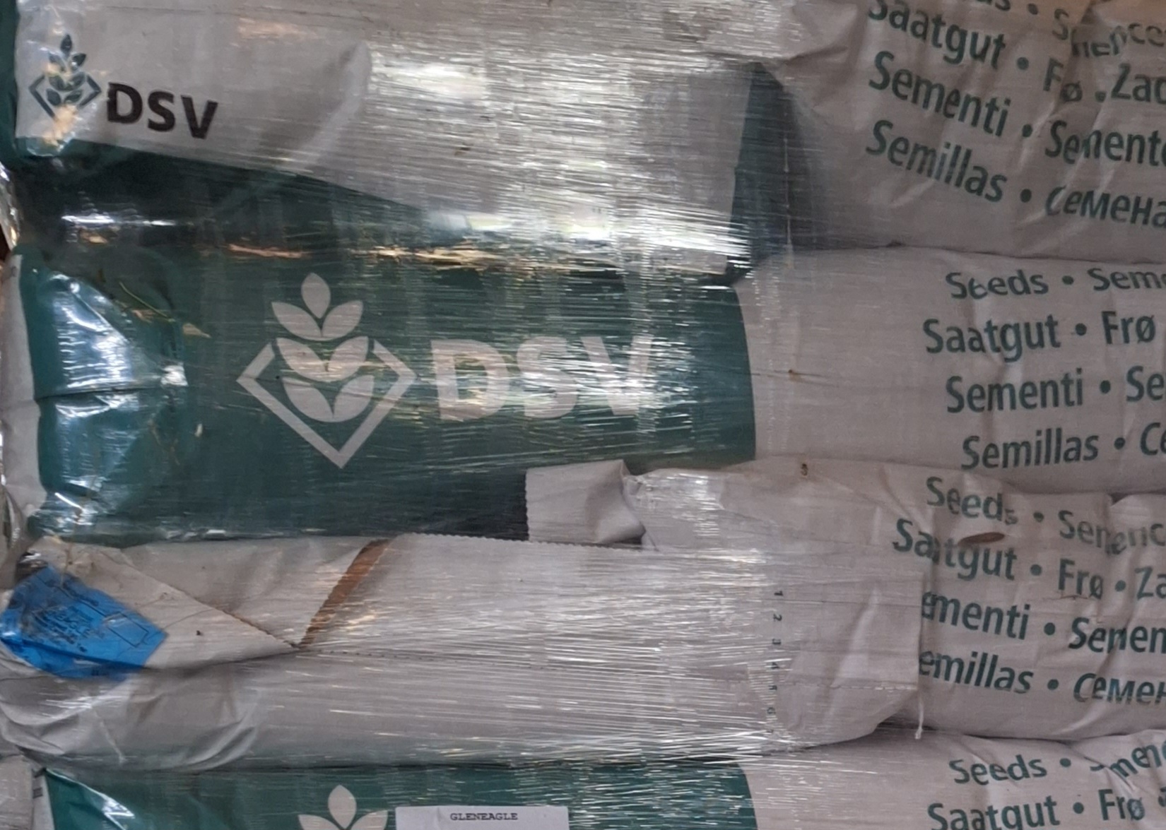 Westerwolds Seed | The Farming Forum