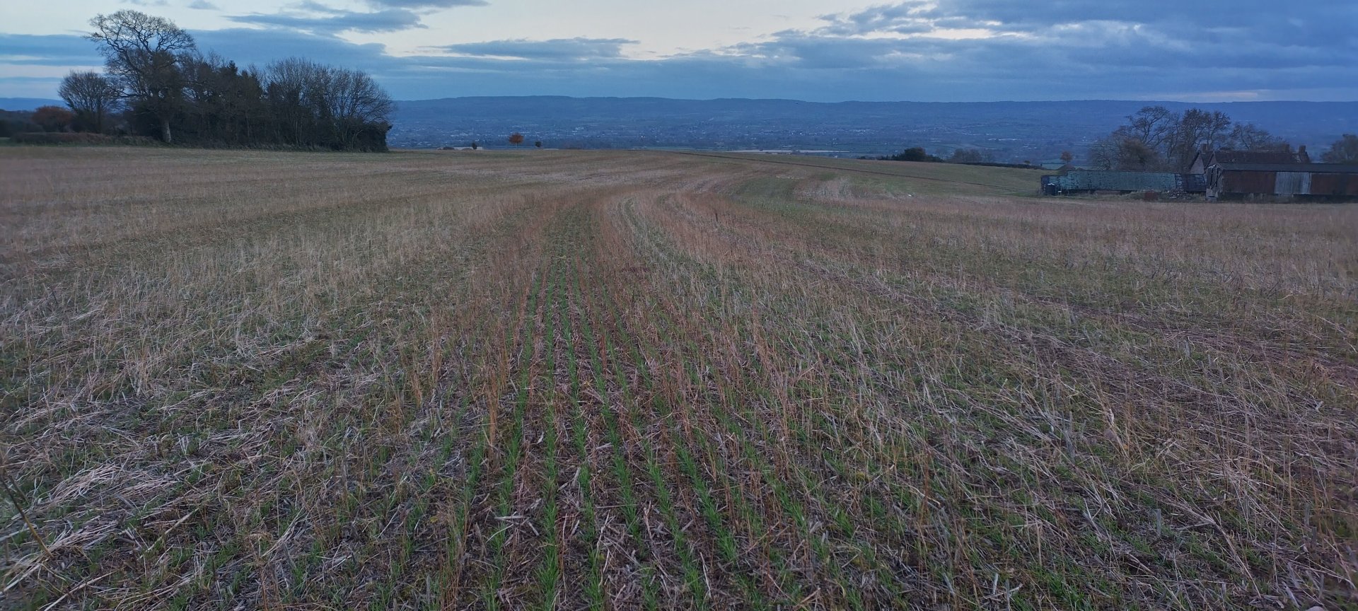 Direct/Strip-till drilling photo gallery | Page 143 | The Farming Forum