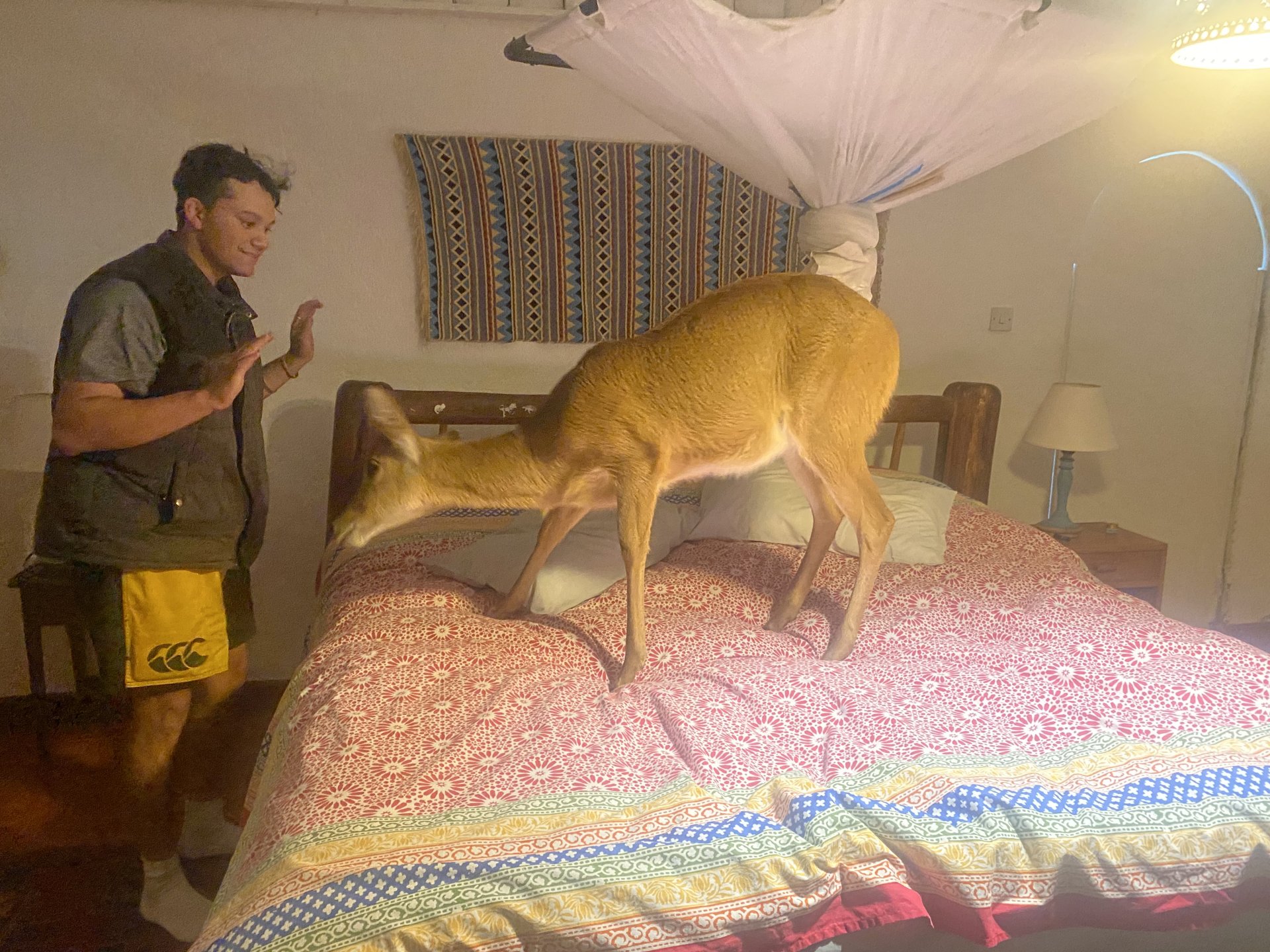 things that make you smile | Page 1028 | The Farming Forum