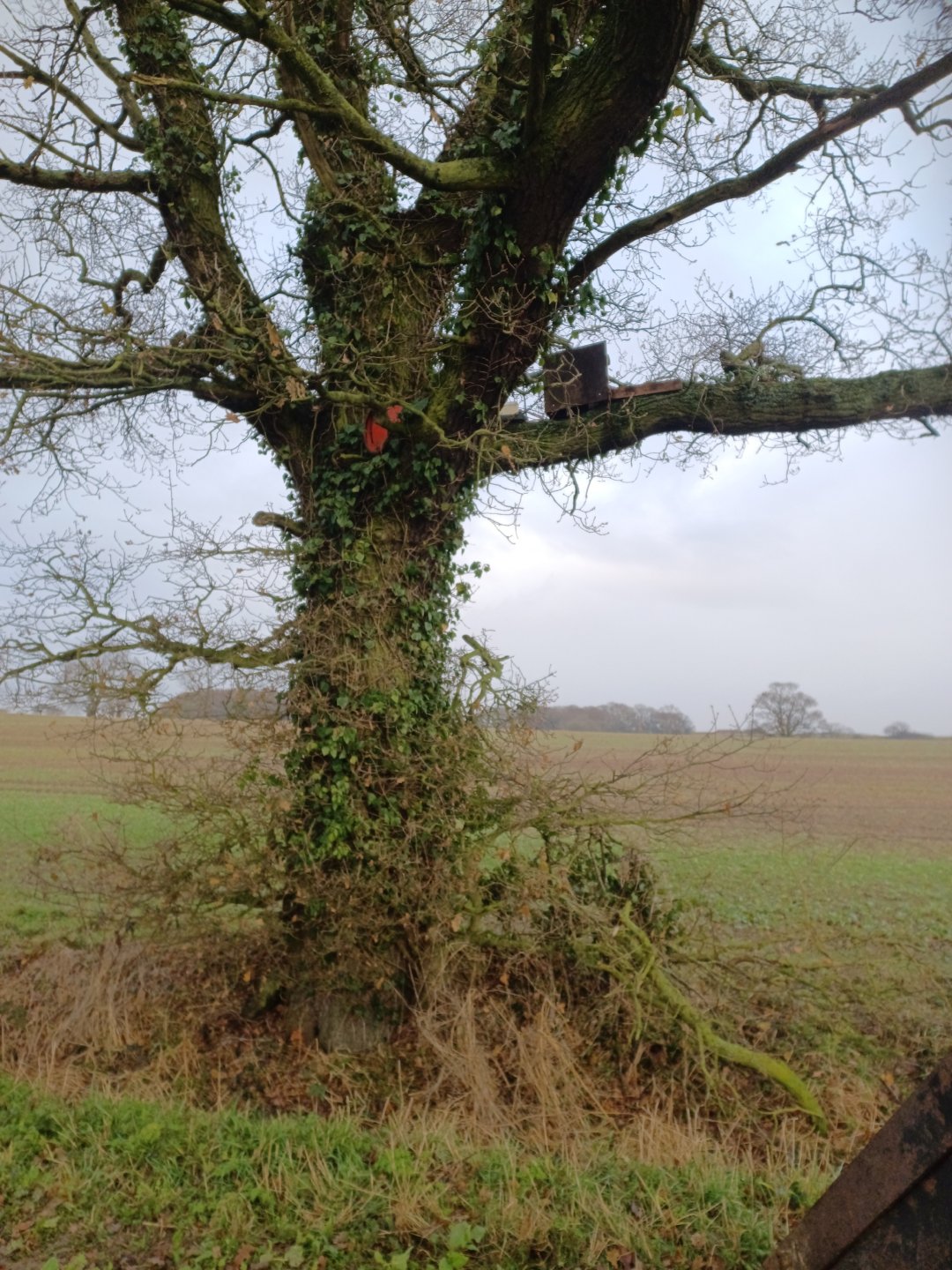 Locating a gas banger up a tree? | Page 2 | The Farming Forum